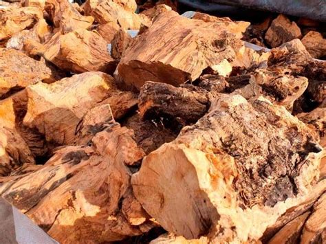 La Mejor Leña Para Nuestras Chimeneas En Las Cabañas De La Vera