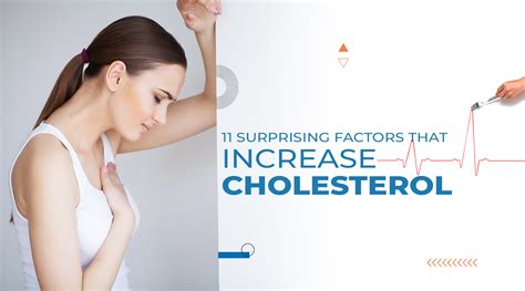 11 Key Factors That May Cause A Sudden Increase In Cholesterol