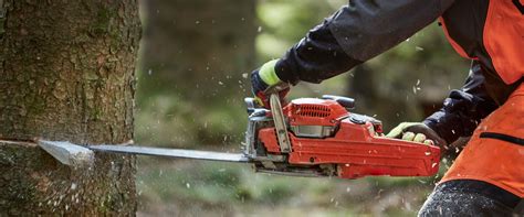 Tree Removal Canberra Gardening Services