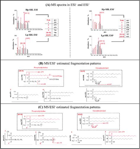 A Mass Spectrometry MS Spectra In Total Ion Scanning Mode For Download Scientific Diagram