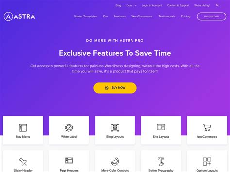 Why Is Astra Theme So Popular Now Mypluginkit
