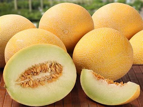 Top Honeydew Melon Benefits And Nutrition Facts Organic Facts