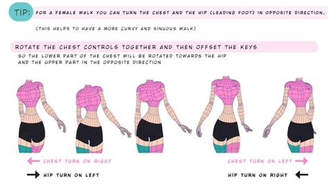 female walk cycle tutorial