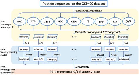 Pipeline Of The Feature Representation Learning Scheme Firstly A Download Scientific Diagram