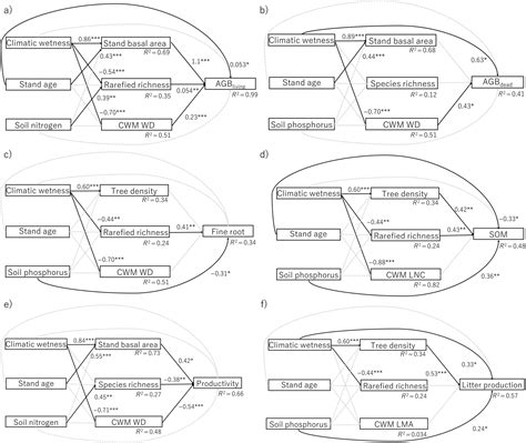 Drivers Of Biomass Stocks And Productivity Of Tropical Secondary Forests Matsuo 2025