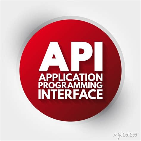 Api Application Programming Interface Acronym Technology Concept • Wall Stickers Word