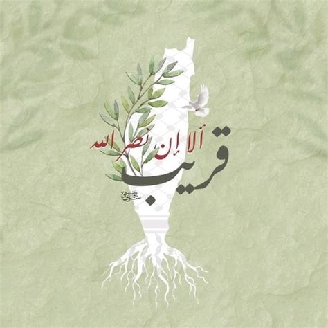 Rawda Mohamed Youtube