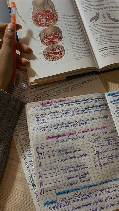 анатомия в 2024 г Планировщик обучения Карта желаний Студенты медики