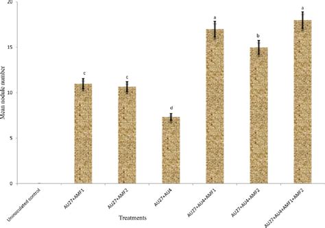 The Effects Of Inoculation Of Microbial Consortia On The Root Nodule Download Scientific