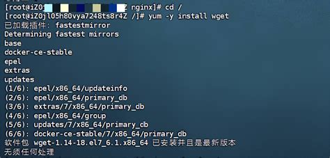 阿里云服务器在线安装nginx 阿里云服务器安装nginx csdn博客