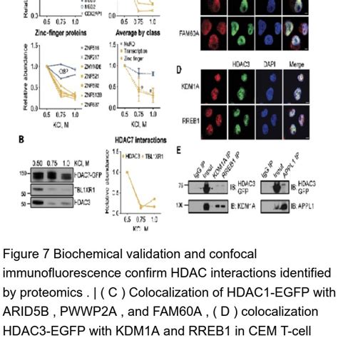 Pdf Melinda A Multimodal Dataset For Biomedical Experiment Method Classification