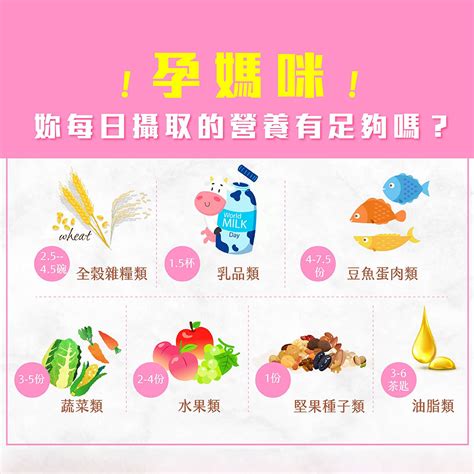 綜合維他命孕婦可以吃嗎5種孕婦維他命推薦挑選3大原則BabyLike 媽咪拜MamiBuy