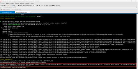 Linux 装oat ，报错：docker Error Response From Daemon Oci Runtime Create Failed Containerlinuxgo