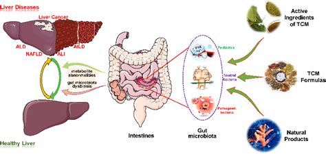 Figure 1 From Targeted Modulation Of Gut Microbiota By Traditional