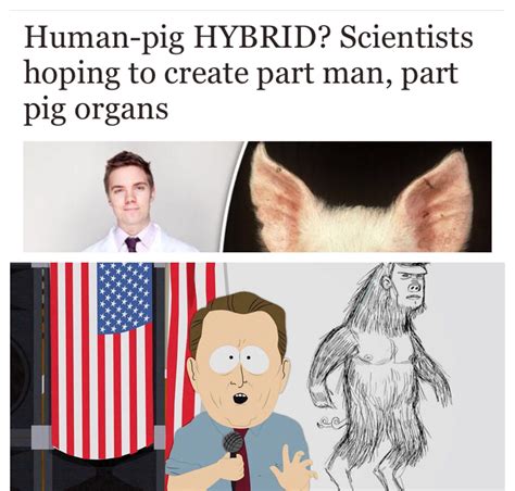 Its Happening Scrolller