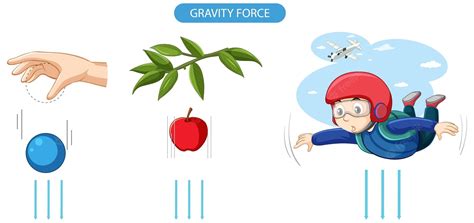 Gravity Questions And Answers For Quizzes And Tests Quizizz