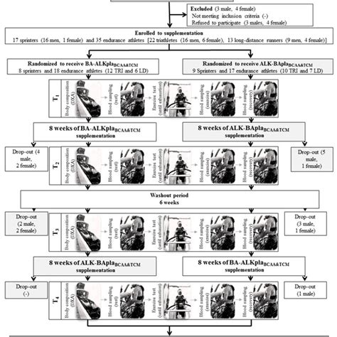 The Flow Chart Of The Study Design Abbreviations Alk—alkaline Agents