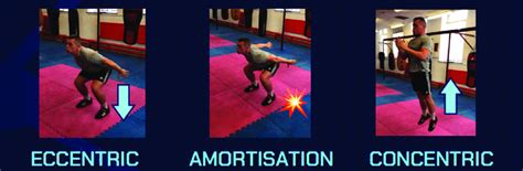 Different Phases Of Plyometric Download Scientific Diagram