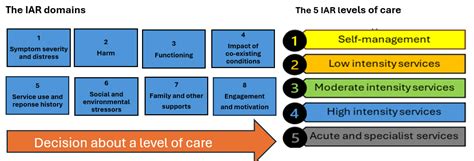 initial assessment and referral decision support tool iar dst