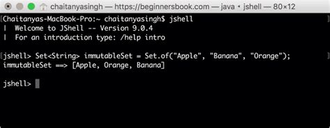 Java 9 创建不可变`set`的工厂方法 《beginnersbook 中文系列教程》 极客文档