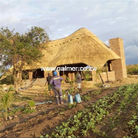 Gazebo Designs Build And Thatch Palmer Construction Zimbabwe