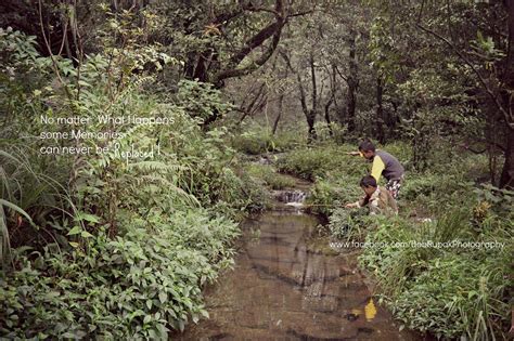 Getting Started With Nltk 10 Essential Examples For Natural Language Processing In Python By