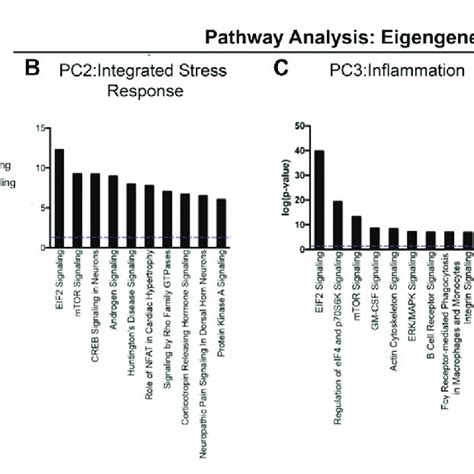Nl Pca Was Performed On 22 119 Gene Expression Probes To Reduce The Download Scientific