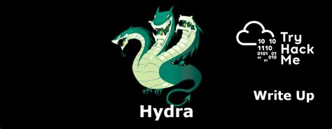Hydra The Dutch Hacker