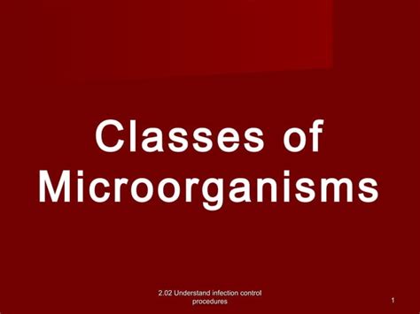 2 02 Classes Of Microorganisms Ppt