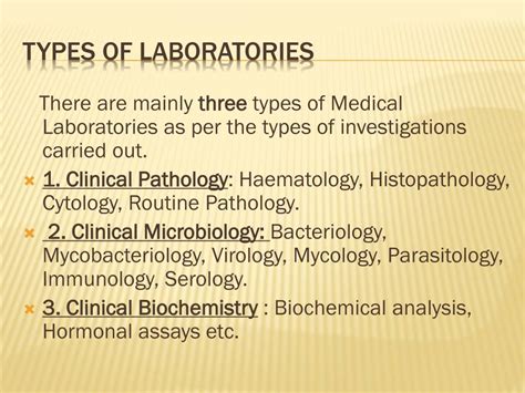Three Types Of Laboratory At Annabelle Toomey Blog
