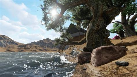 Tree By River Stock Video Footage For Free Download