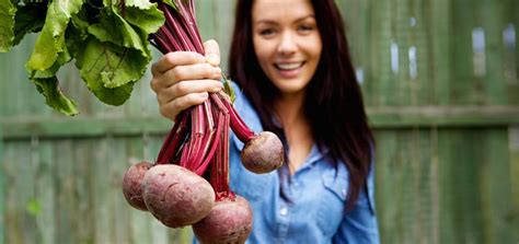 How To Use Beets To Benefit The Liver Dherbs Articles