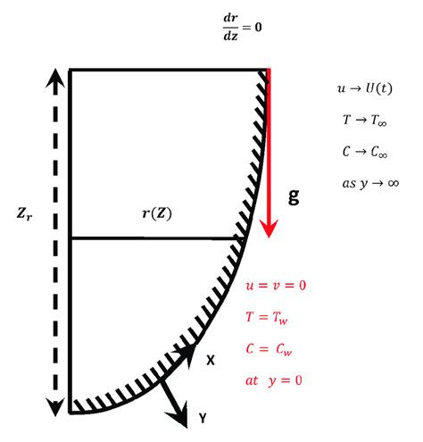 Coordinate System And Flow Configuration Of The Proposed Model