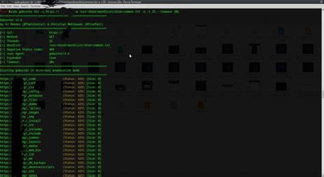 Ekemini Ekerette Daniel On Linkedin Bruteforce Gobuster Dnssecurity