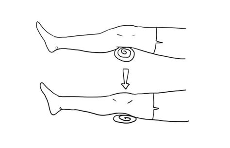 Isometric Strengthening Of The Quadriceps In 2024 Gym Workout Plan For Women Straight Leg