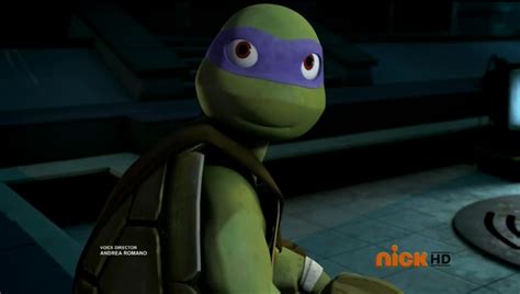 Image Donnie Smiling Png Tmntpedia