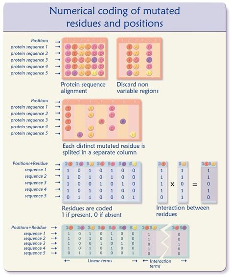 Numerical Coding Édouard Dullin