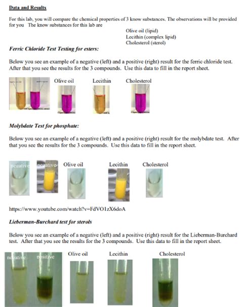 Solved Ferric Chloride Test For Esters Esters Can Easily Be