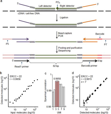 Tac Seq Technology Enhances Precision Of Analysis Of Clinical
