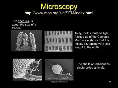 PPT Particle Size Sizing Technique Hydrodynamic Chromatography Sieving Microscopy