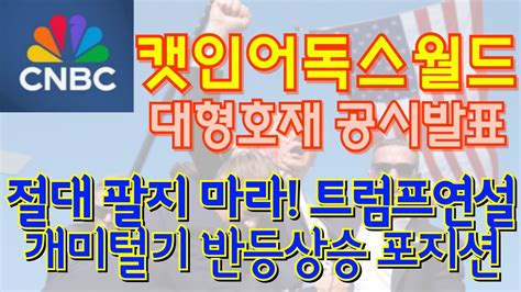 캣인어독스월드 코인전망 🔥절대팔지마라 트럼프연설 개미털기 후 반등상승 포지션🔥 빗썸 캣인어독스월드 Mewkrw 호재 공시 주말속보 Youtube