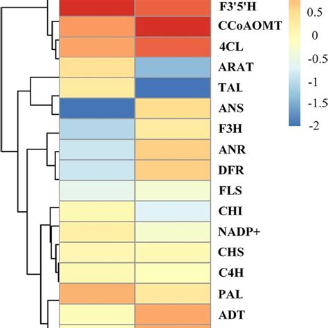 Average Expression Level Of Putative Genes Encoding Key Enzymes Download Scientific Diagram