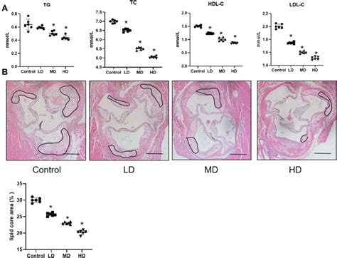blec attenuates the development of atherosclerosis and decreases tc