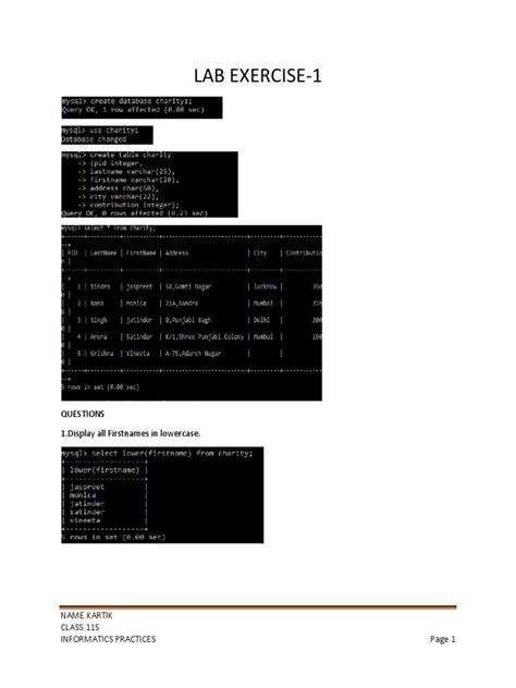 Lab Exercise Of Class 11 Ip Mysql Pdf