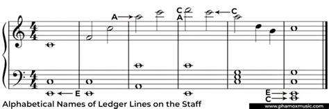 Ledger Lines Essential Guide For Musicians Phamox Music