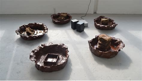 Rainwater Series Molly Basterfield