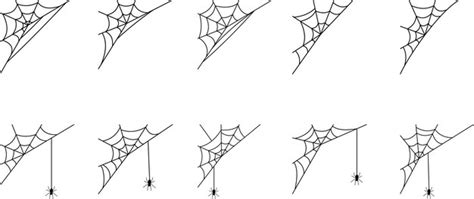 Premium Vector Corner Spider Web