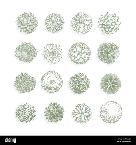 Trees From Above Architecture Stock Vector Images Alamy