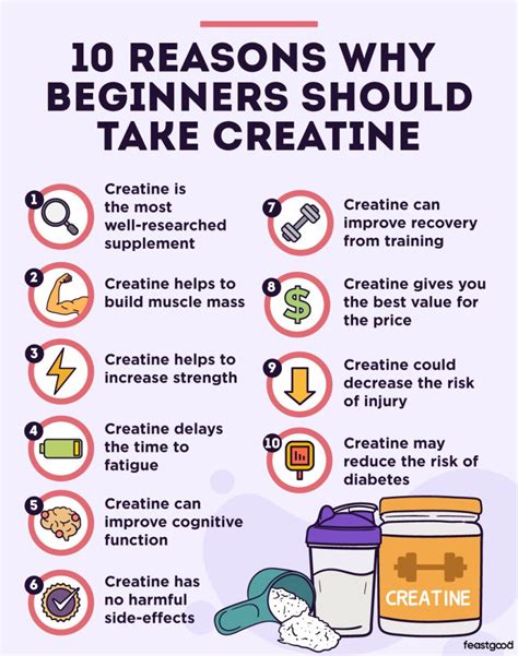 Should Beginners Take Creatine Who Should Should Not Use Feastgood