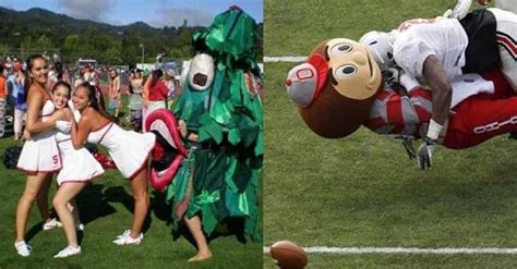 The Funniest Mascot Photos In Sports History